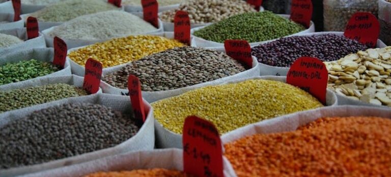 Top 10 Best Foods for Detoxing from Drugs | Little Creek Recovery PA
